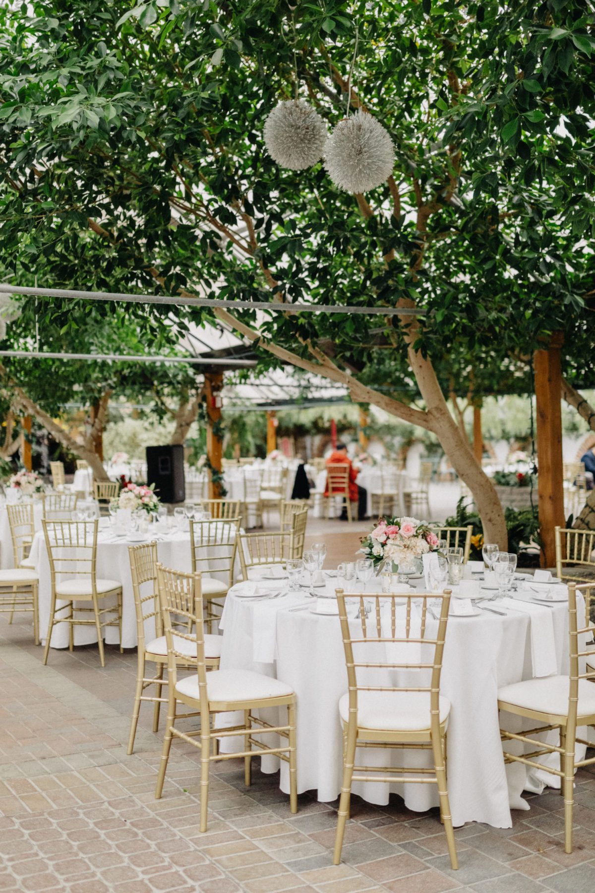 Gallery | Madison Greenhouse