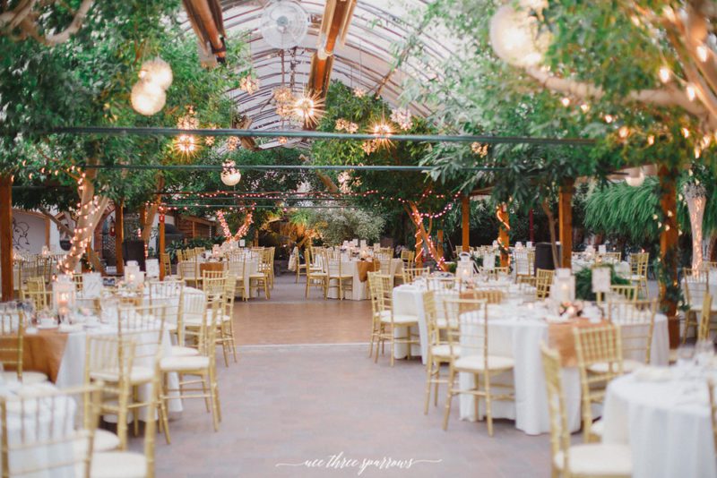 Gallery | Madison Greenhouse