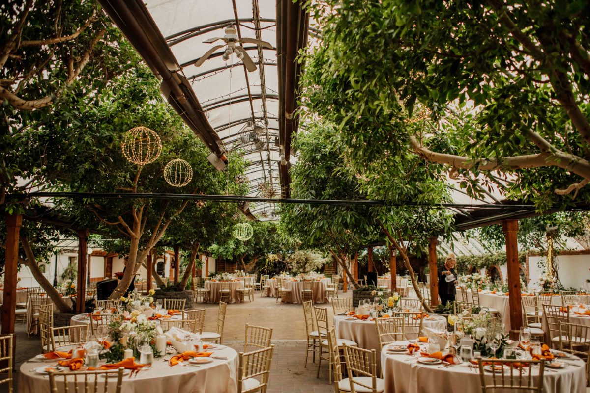 Fig Room | Madison Greenhouse