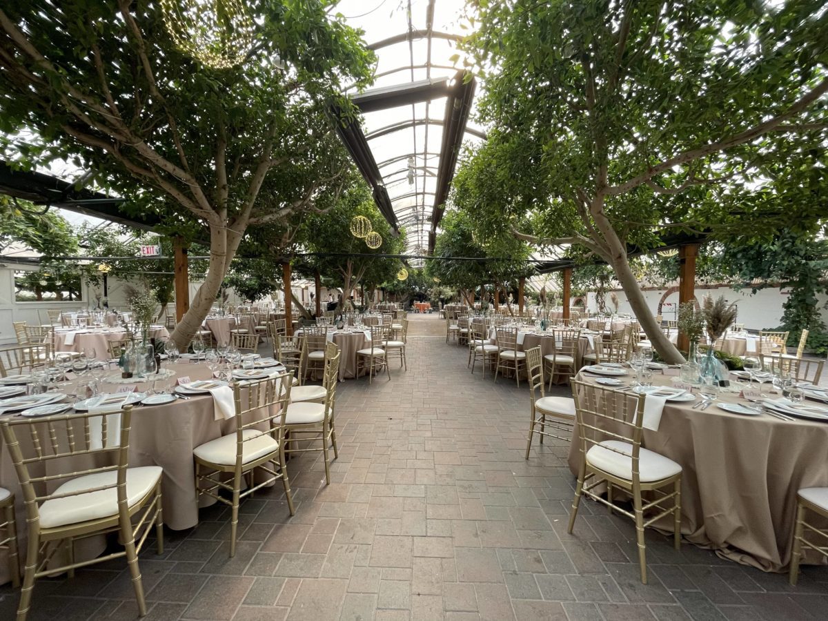 Fig Room | Madison Greenhouse