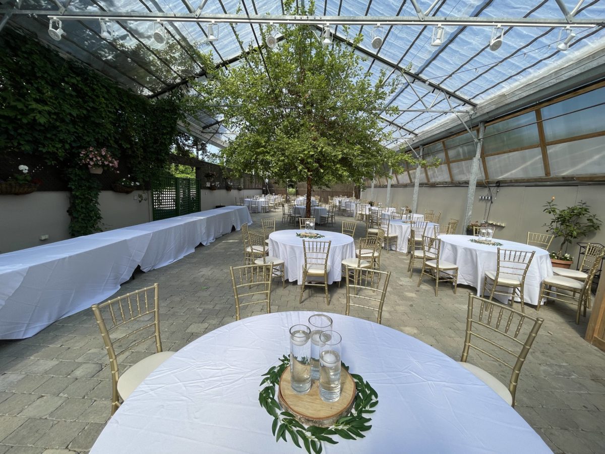 Home | Madison Greenhouse