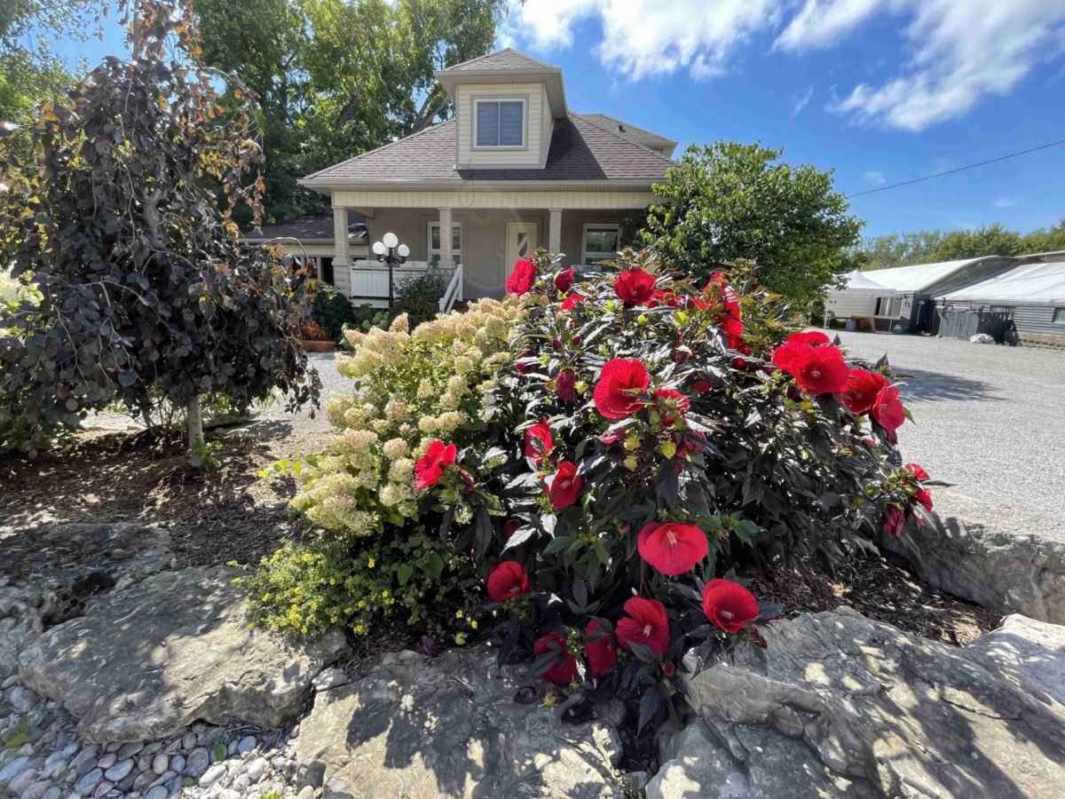 Bridal House | Madison Greenhouse